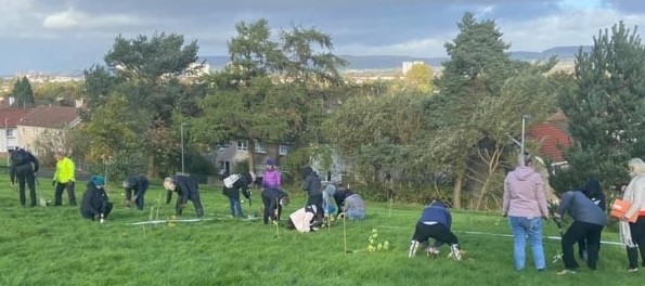 Knightswood Community Plant Trees for COP26 | Glasgow City Health and ...
